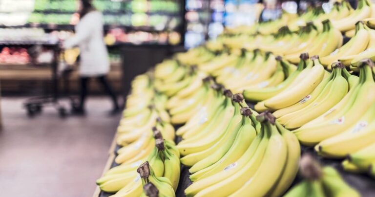 Review: wat is AH Premium en wat zijn de voordelen ervan?